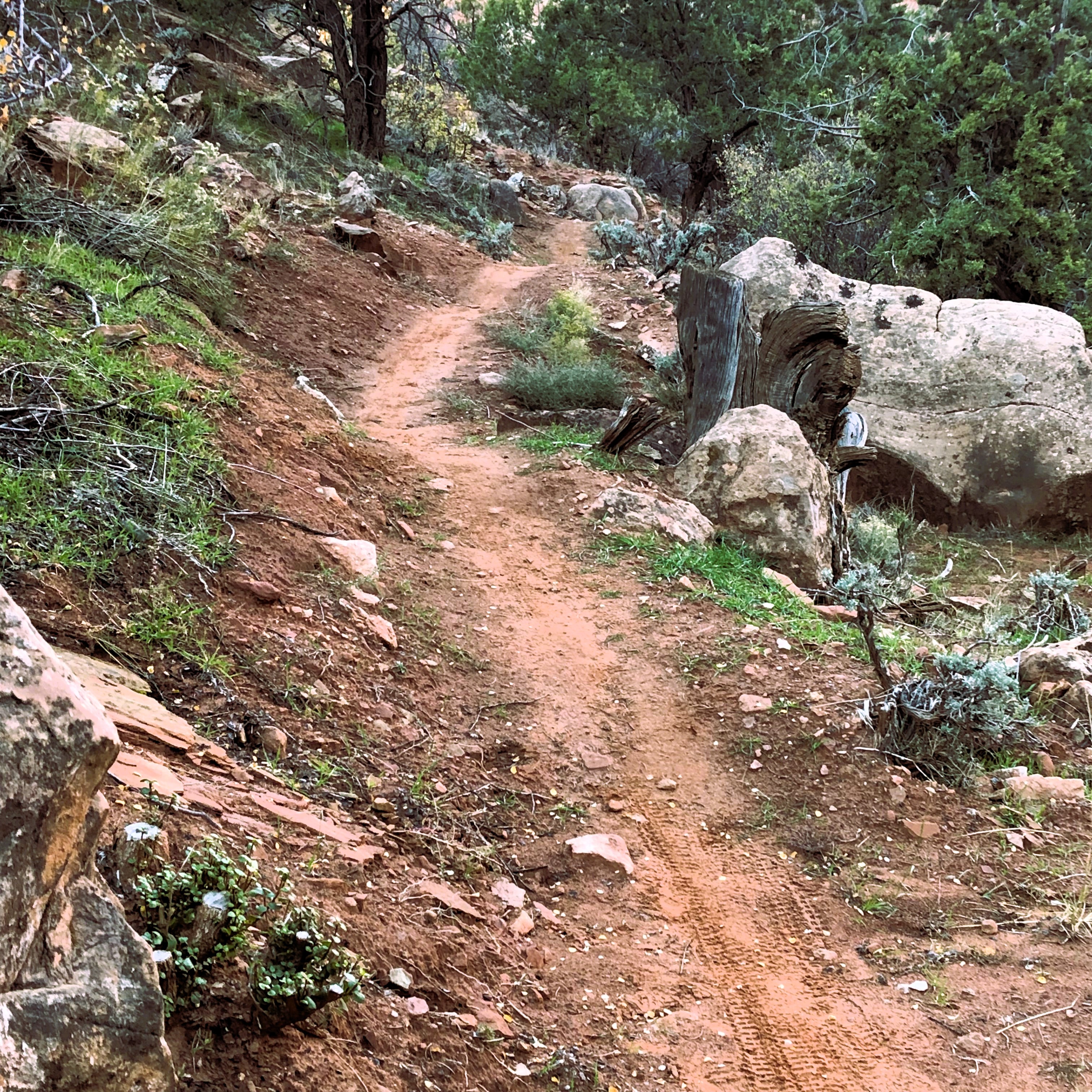 Trail Skills Training – Raven Trails